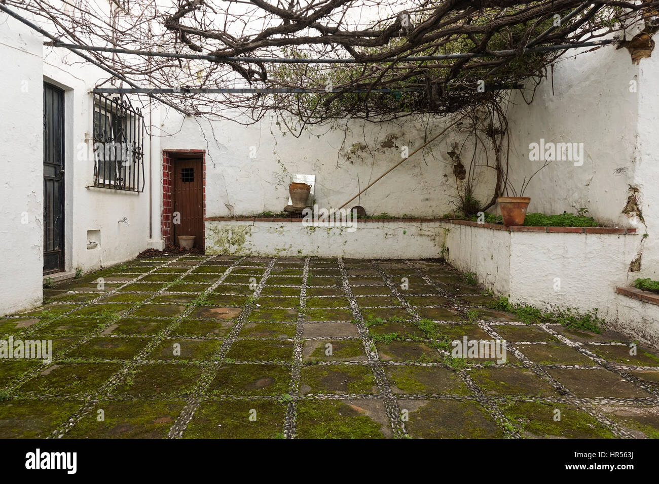 Empty Mediterranean patio, vines, vine, Andalusia, Southern Spain Stock ...