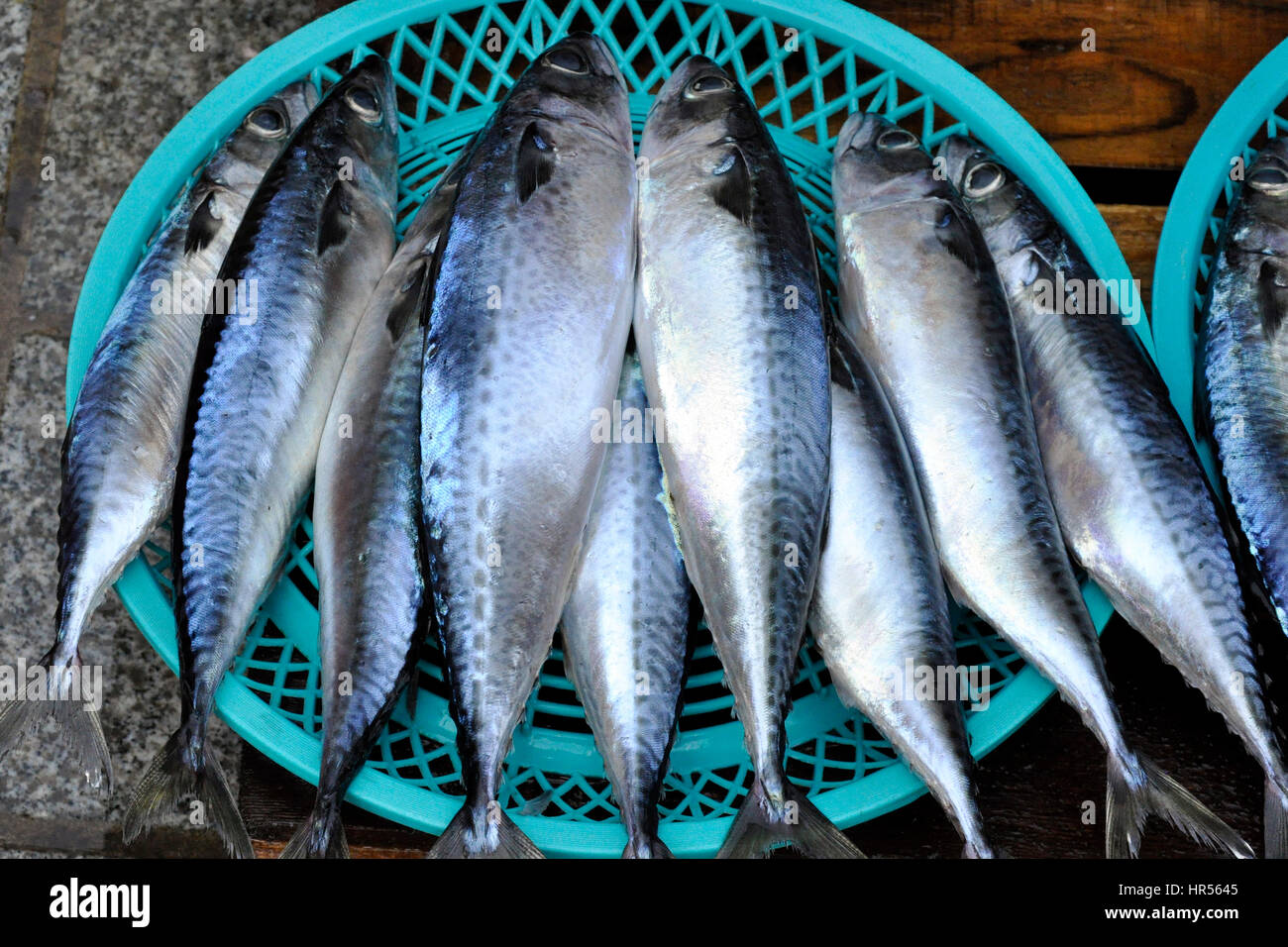 South Korea,Busan,fish market Stock Photo - Alamy