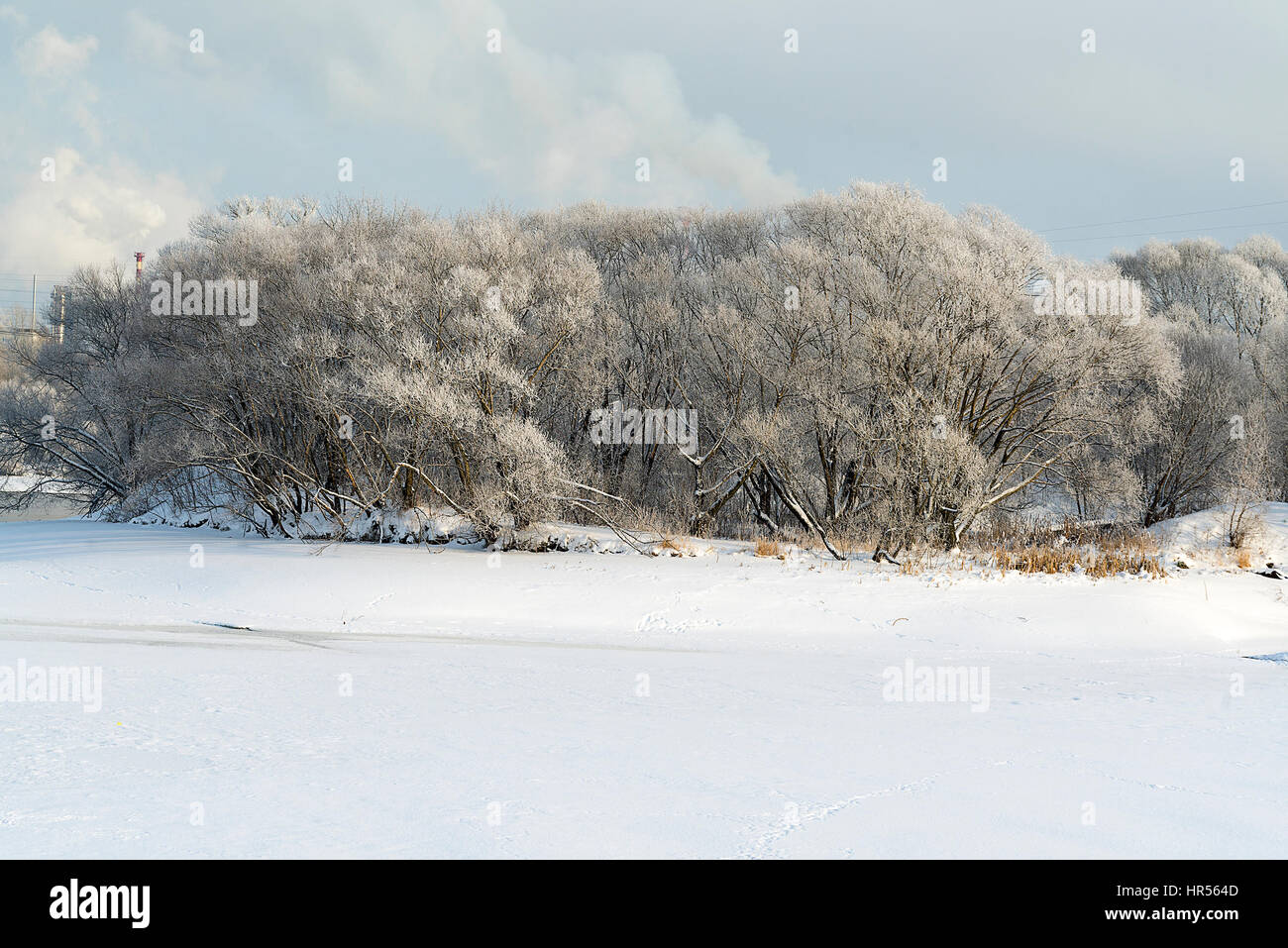 Beautiful landscape of the wilderness Stock Photo - Alamy