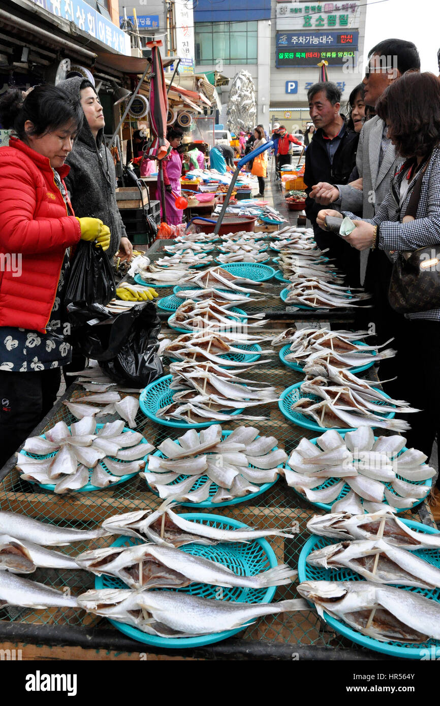 South Korea,Busan,fish market Stock Photo - Alamy