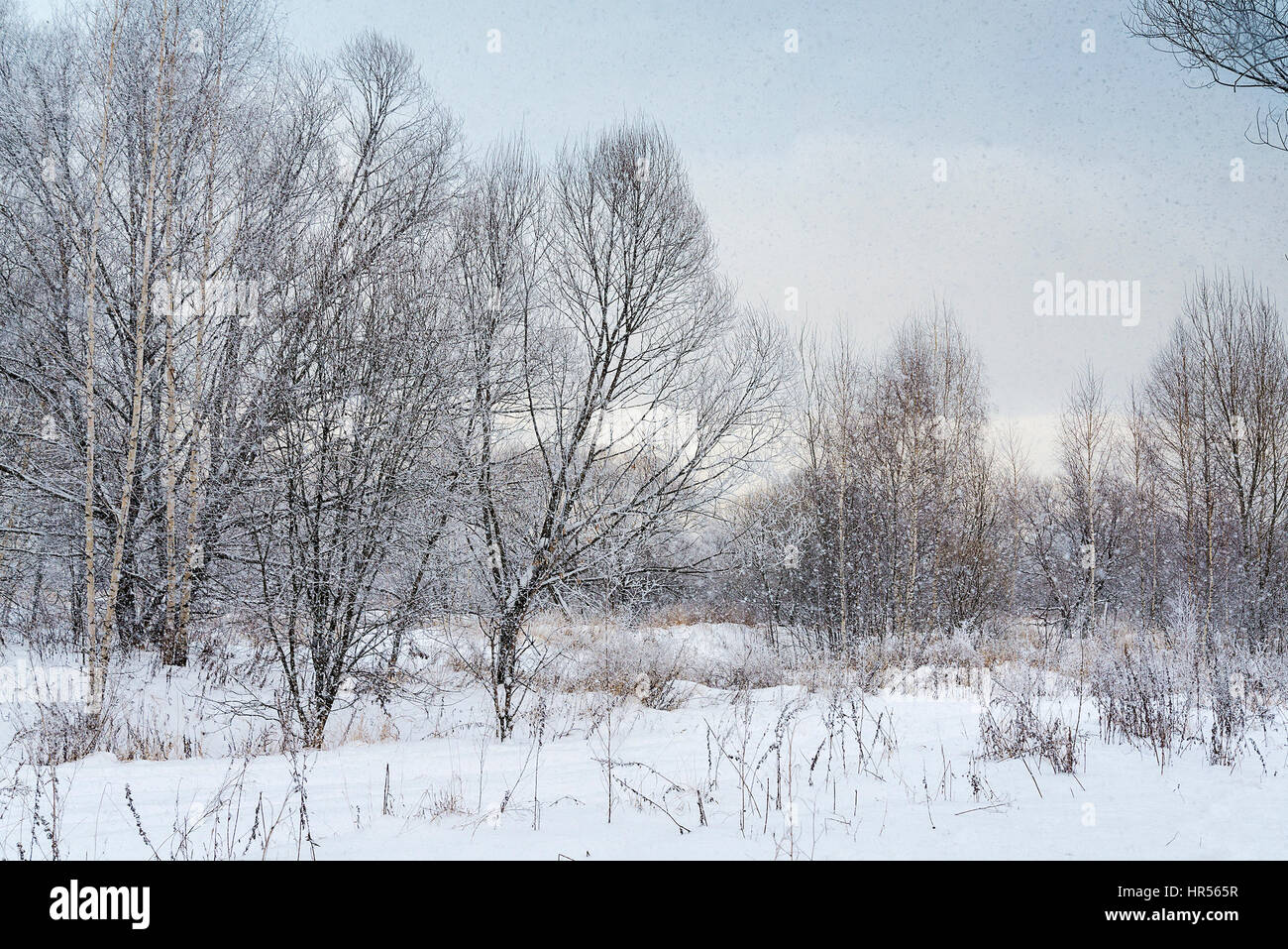 Beautiful landscape of the wilderness Stock Photo - Alamy