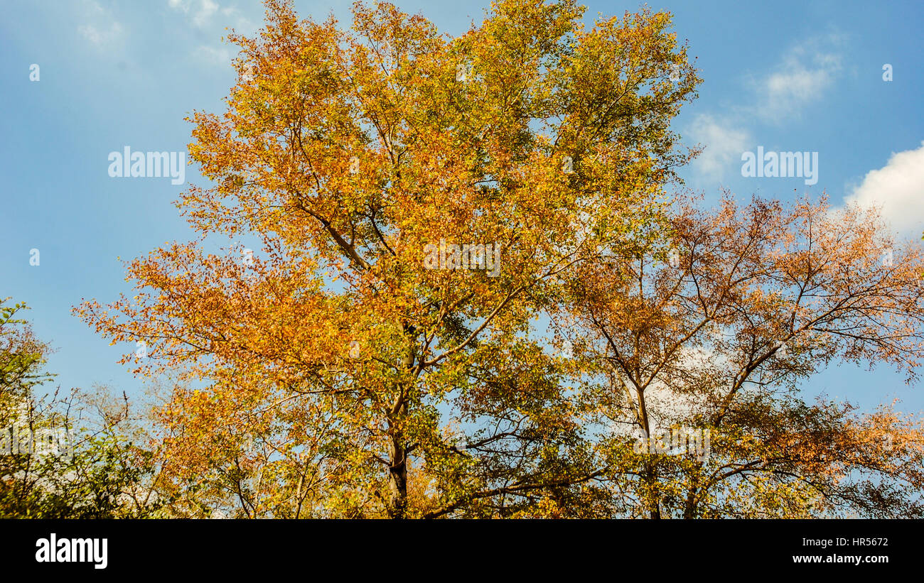 Beautiful shots of nature hi-res stock photography and images - Alamy