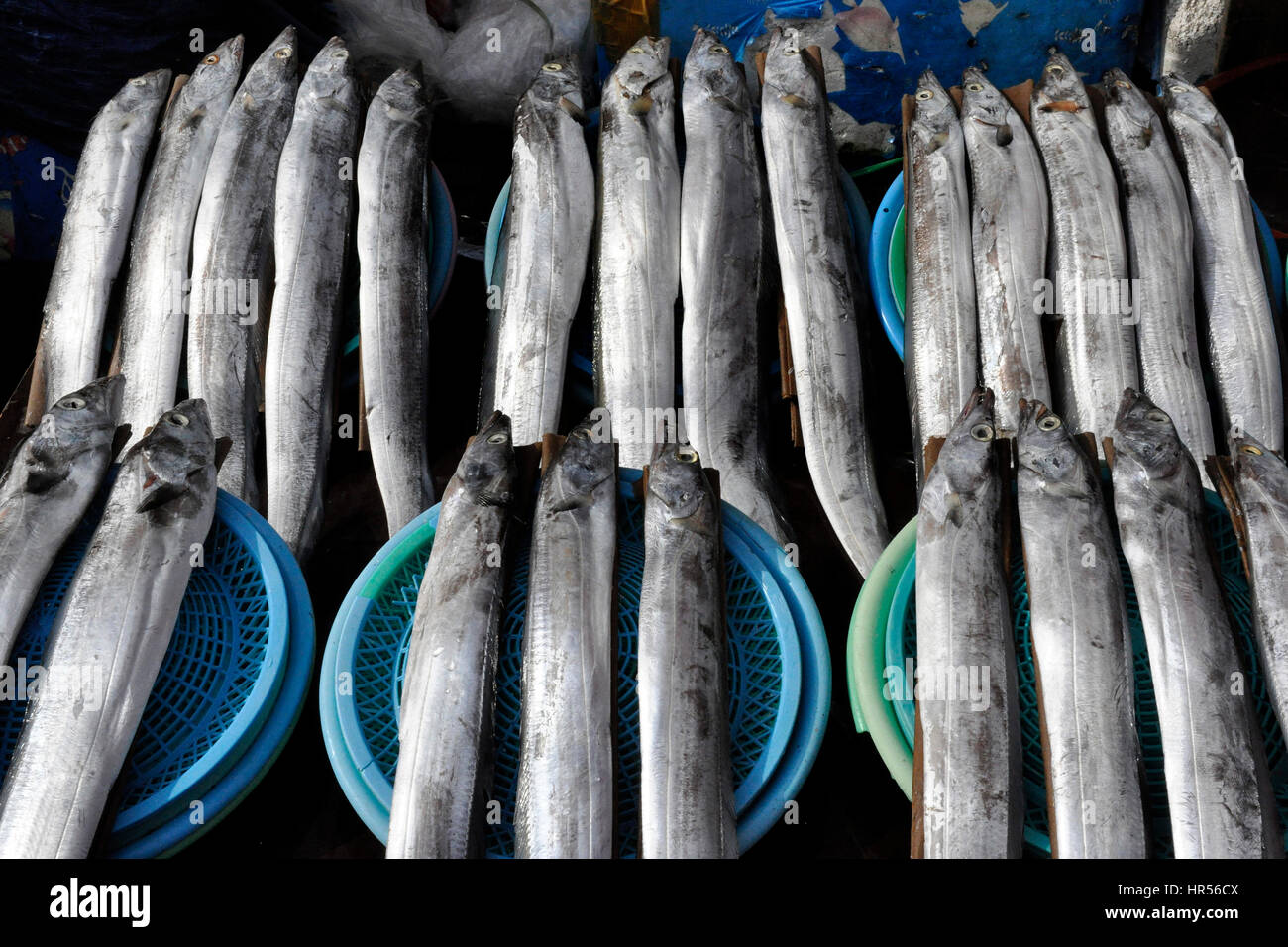 South Korea,Busan,fish market Stock Photo - Alamy
