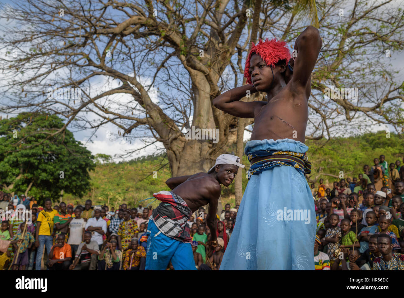 A Fulani boy hits his opponent with a whip made out of a branch. The ...