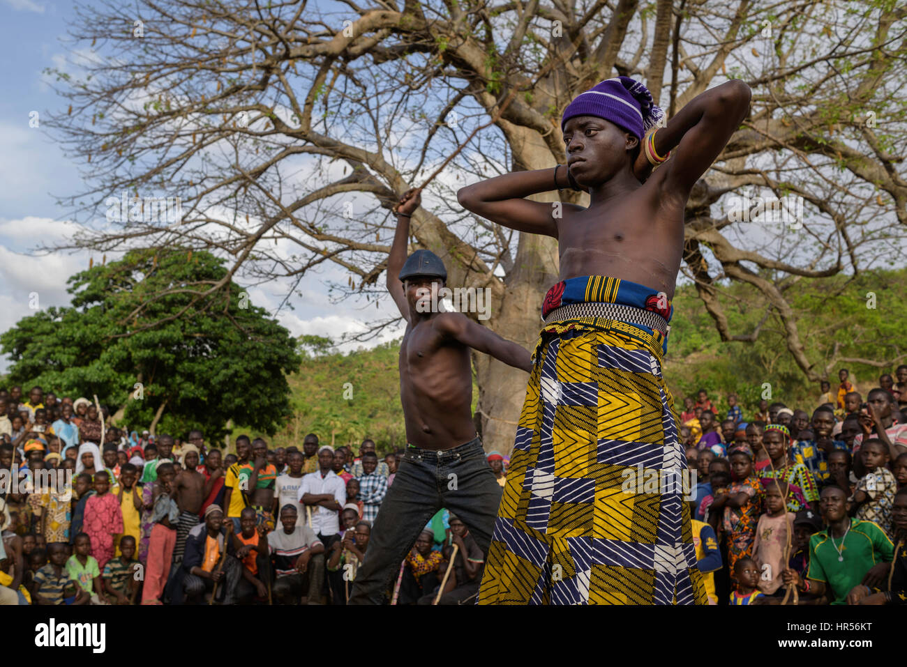 A Fulani boy hits his opponent with a whip made out of a branch. The ...