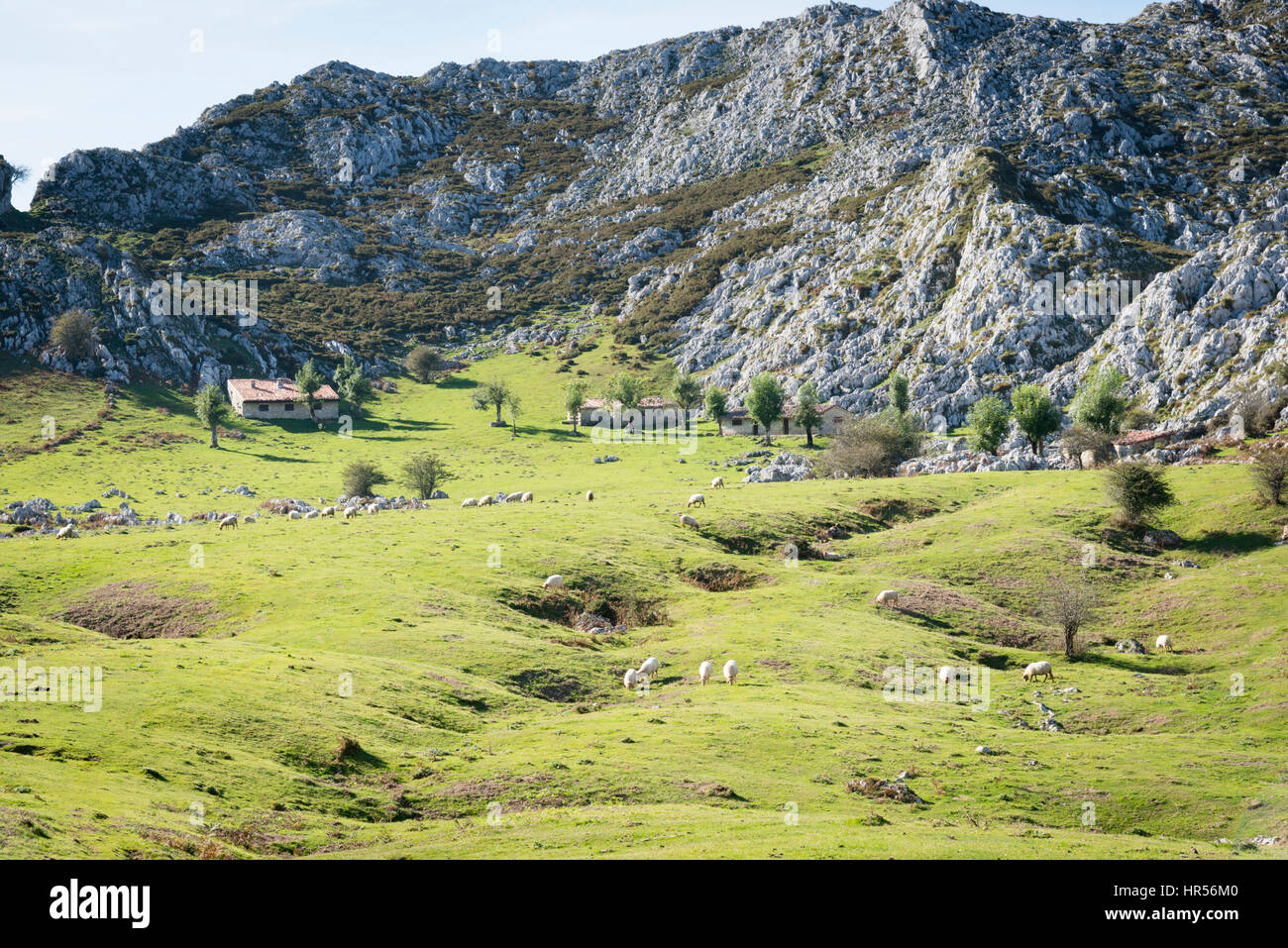A landscape view of limestone hills and mountains in the Picos de ...