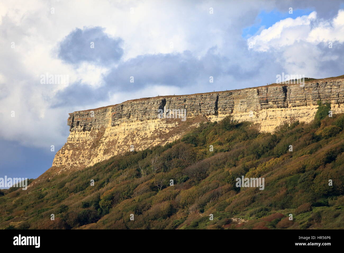 Imposing rock structure at Gore Cliff near St Catherine’s Point on Isle ...