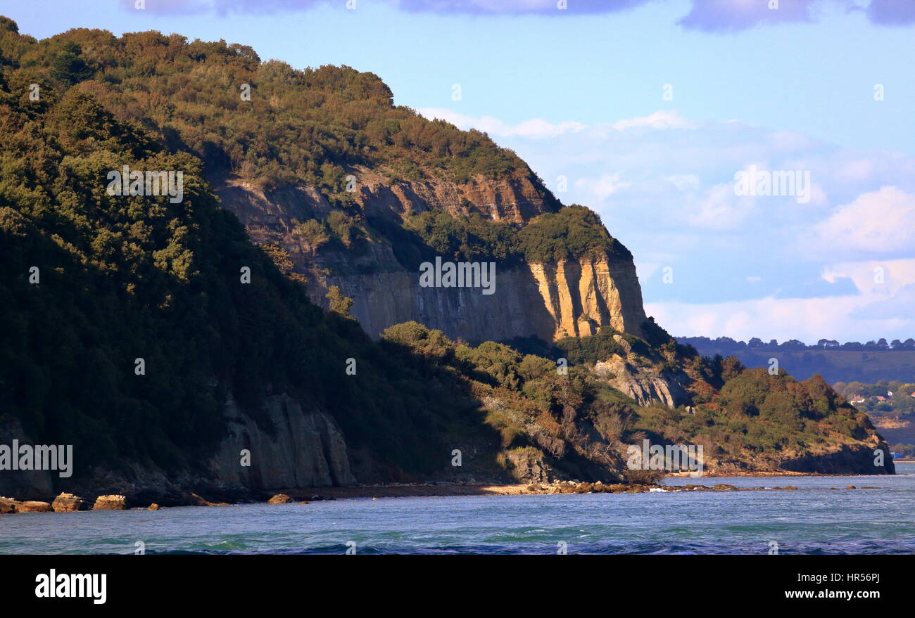 Cliff and rock forms around Luccombe Bay between Ventnor and Shanklin ...