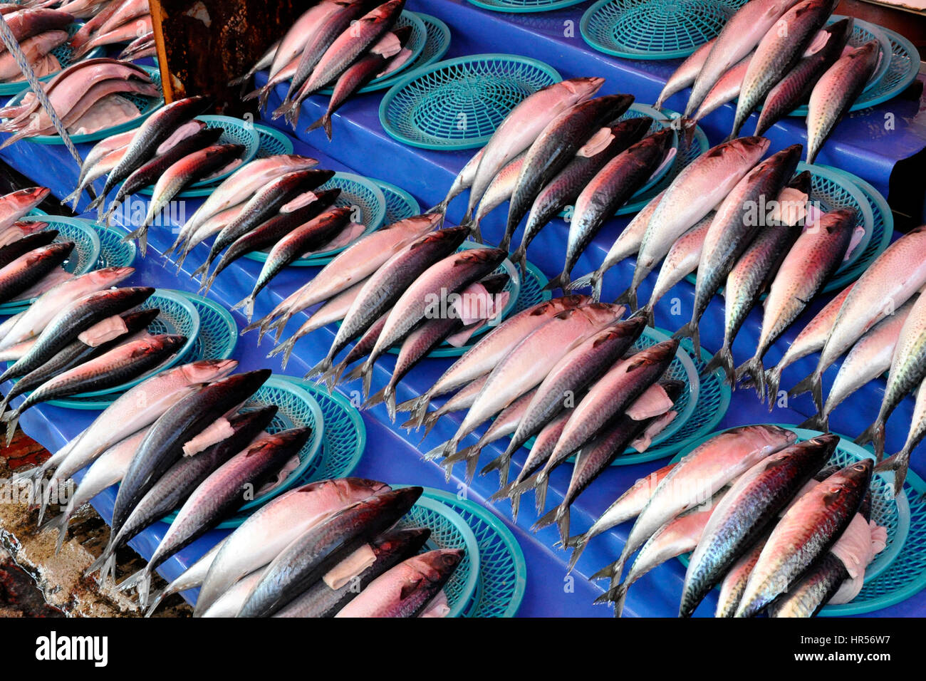 South Korea,Busan,fish market Stock Photo - Alamy
