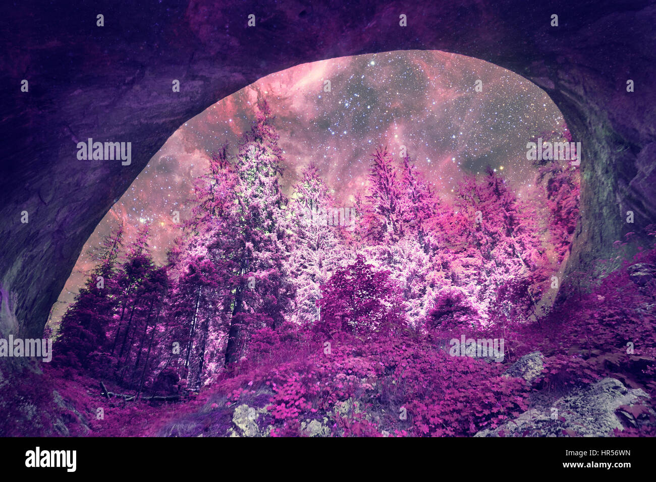 infrared strange alien landscape with stars at night- elements of this ...