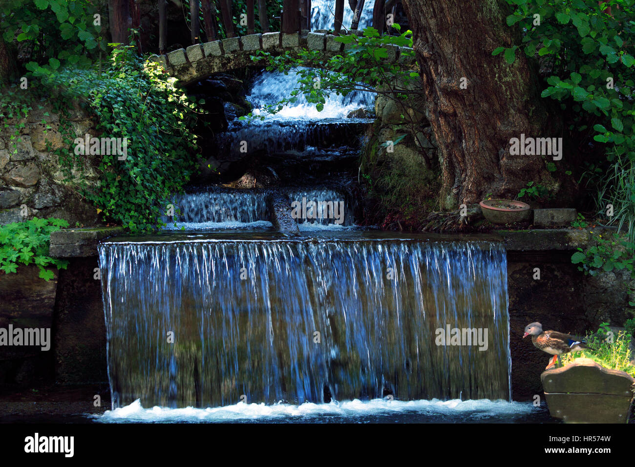 Garden waterfall and small stone bridge Stock Photo - Alamy
