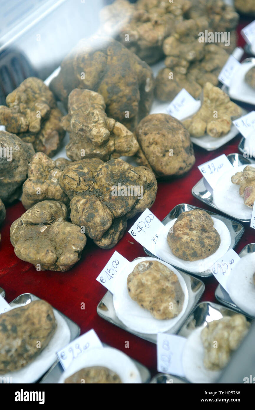 26-10-13, Alba, Italy. White Truffle World Market. White truffles for ...