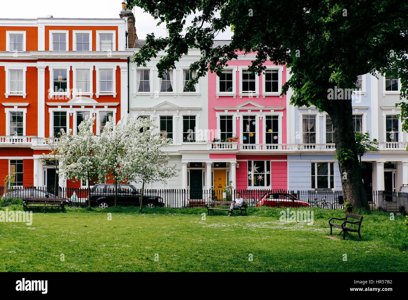 Man reading in Chalcot Square Gardens, colourful terraced houses of ...