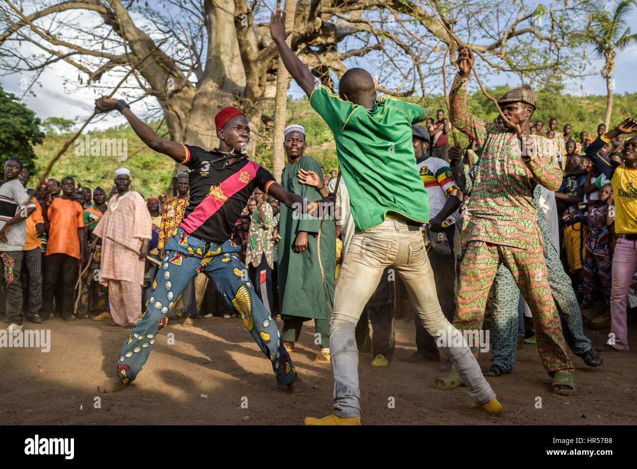 Young Fulani men from Taneka Coco village fight with sticks in front of ...