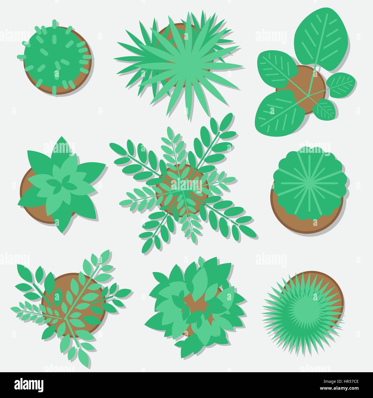 Top flower Stock Vector Images - Alamy