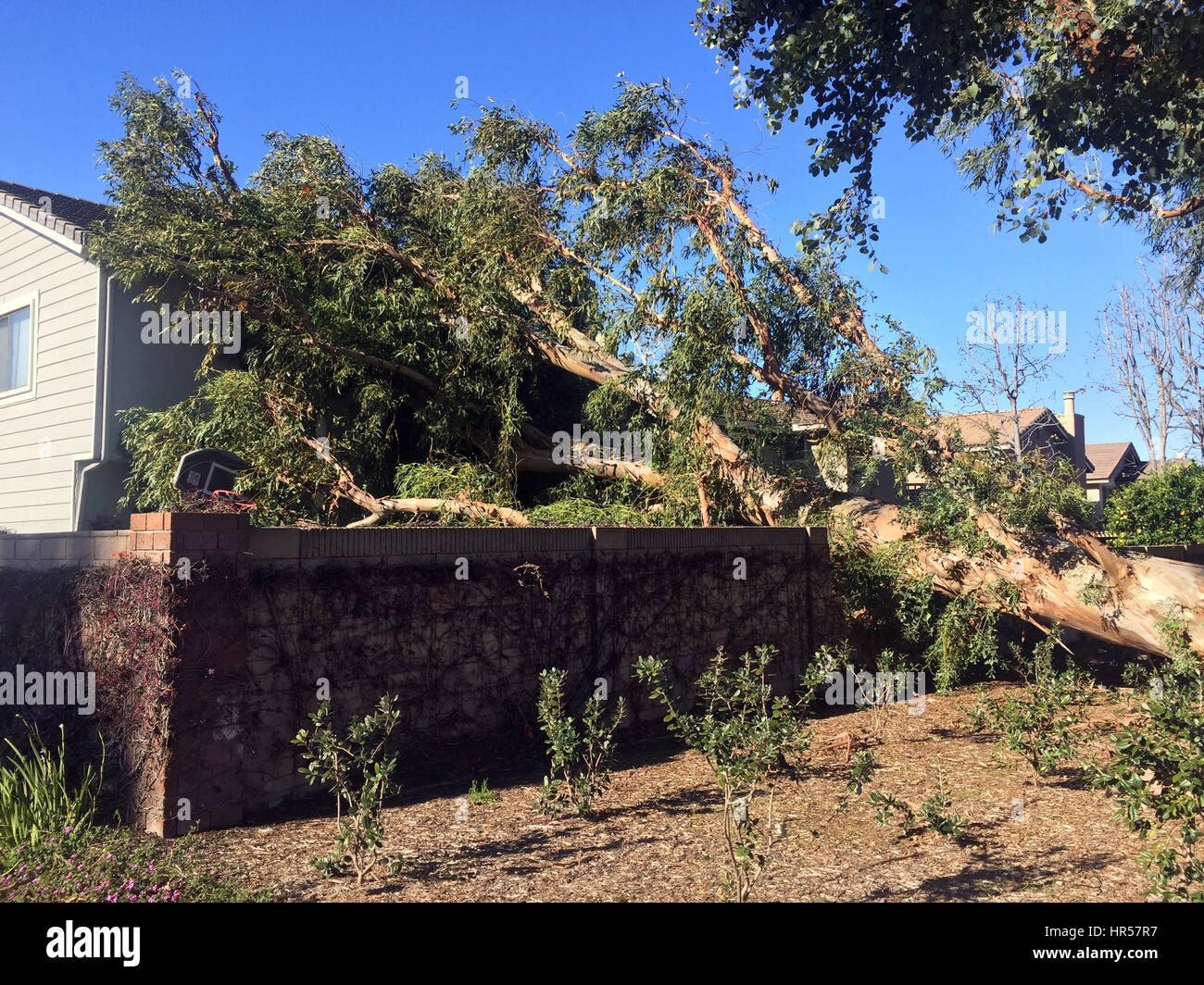 House fallen tree hi-res stock photography and images - Alamy