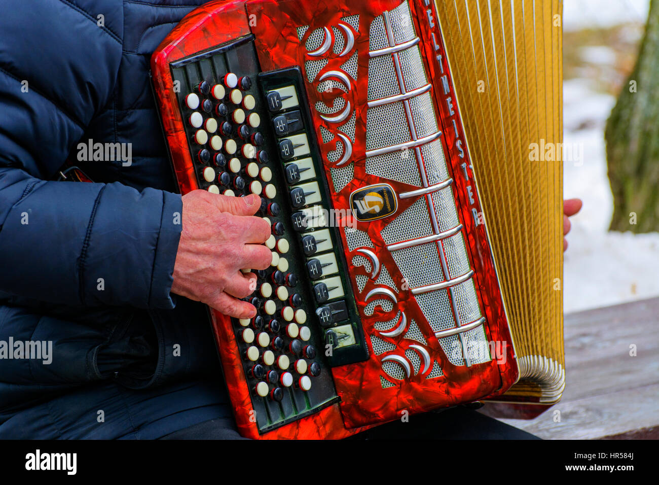 Musical instruments. Orchestra performance at the festival of Carnival ...