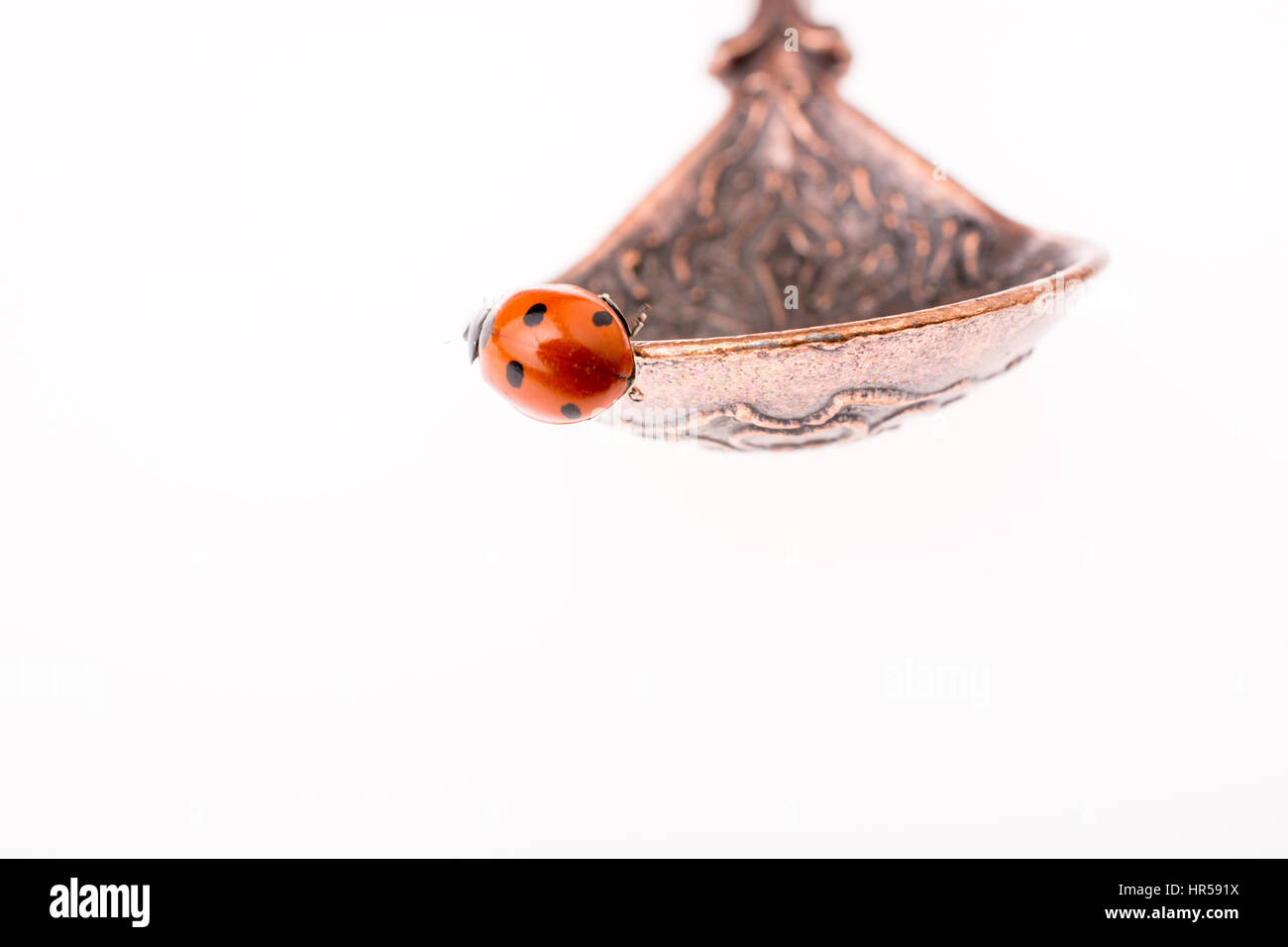 Beautiful summer nature around Cut Out Stock Images & Pictures - Alamy