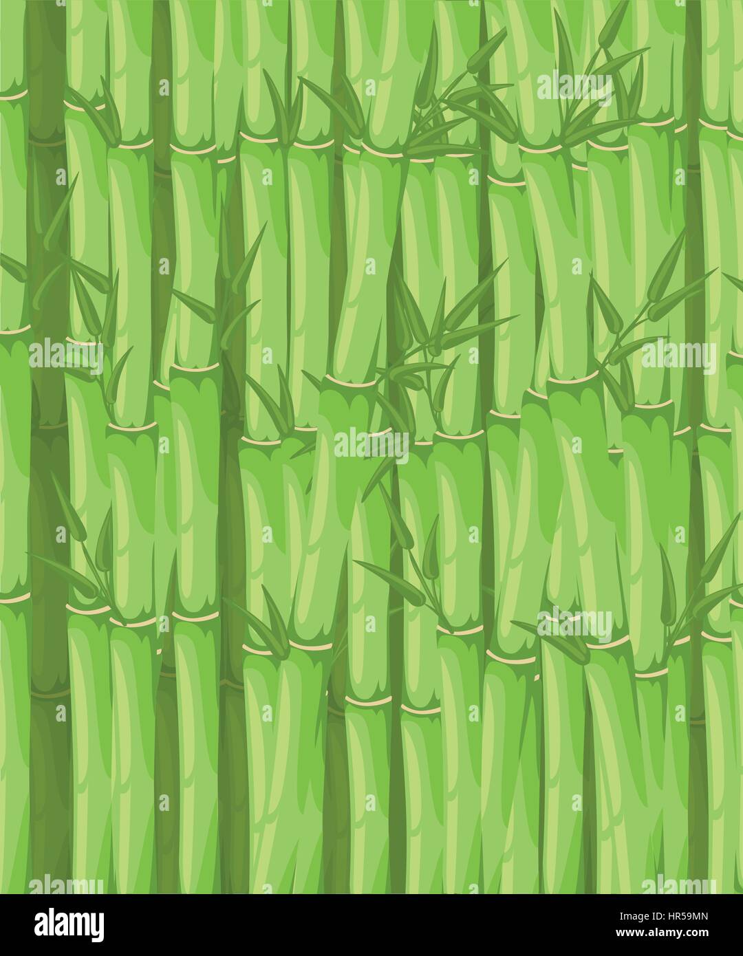 Bamboo with leaf vector illustration. Asian bambu zen plants background ...