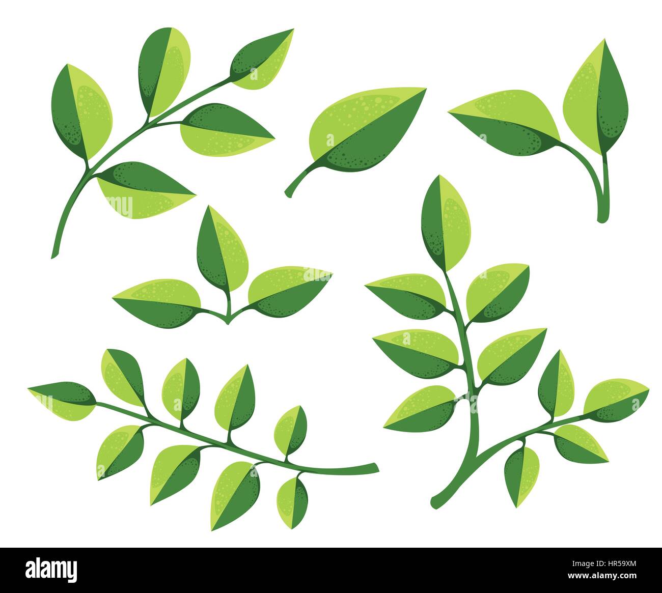 Set of leaves design elements. Vector illustration Stock Vector Image ...