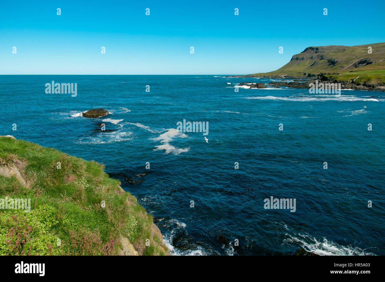 View of the ocean from the fjords in Iceland Stock Photo - Alamy