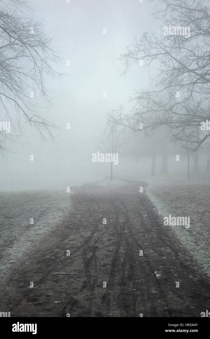 Park Path in Fog Stock Photo - Alamy