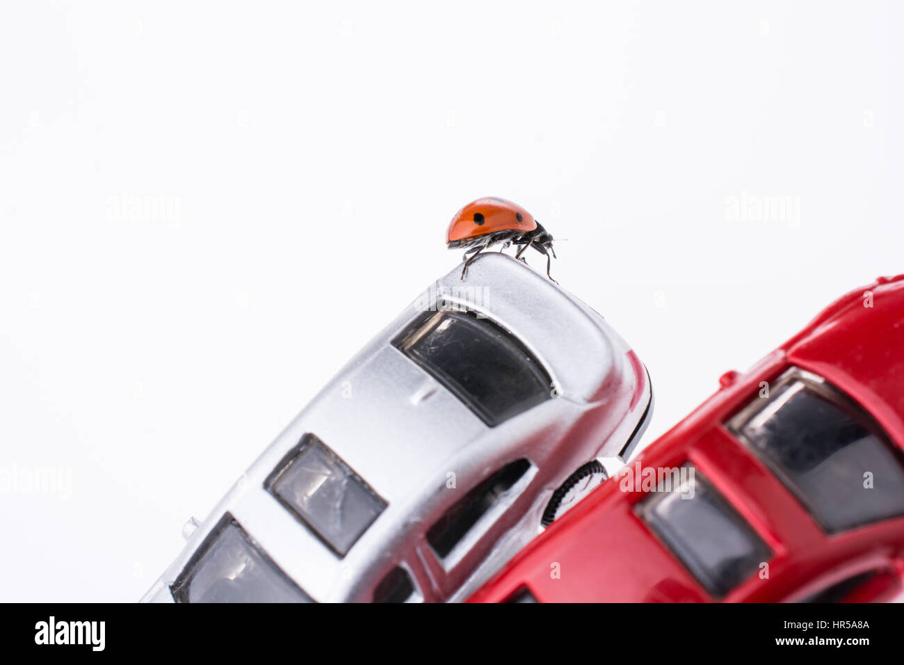 Beautiful photo of red ladybug walking on a model car Stock Photo - Alamy