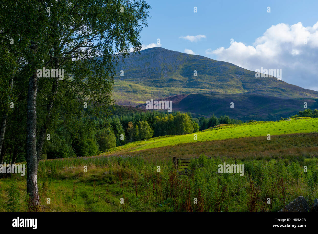 Schiehallion mountain hi-res stock photography and images - Alamy