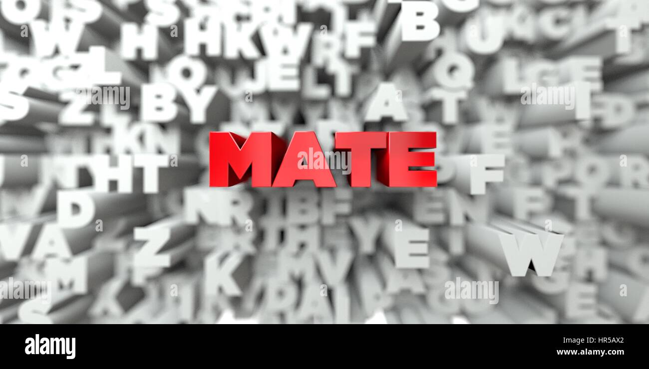 MATE - Red text on typography background - 3D rendered royalty free ...