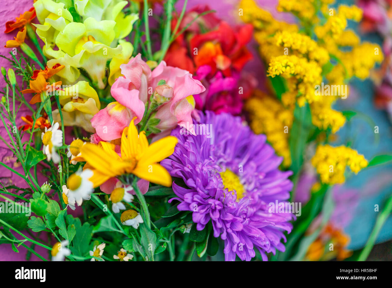 Bouquet of garden flowers on colorful background Stock Photo - Alamy
