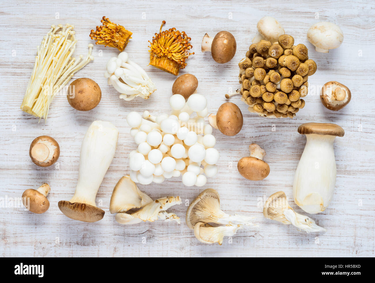 Different types mushrooms hi-res stock photography and images - Alamy
