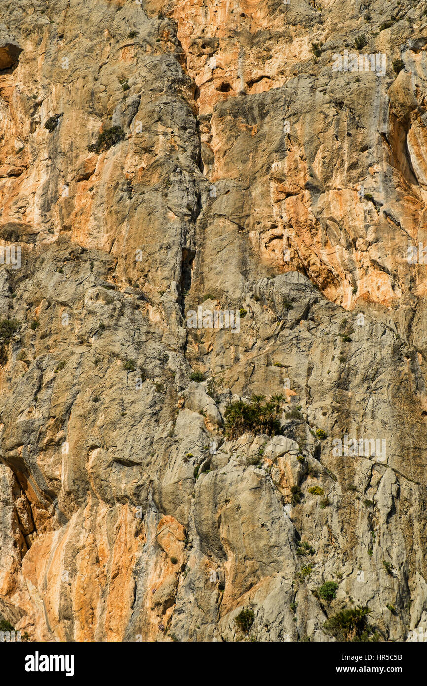 Full frame take of the texture of limestone rock Stock Photo - Alamy