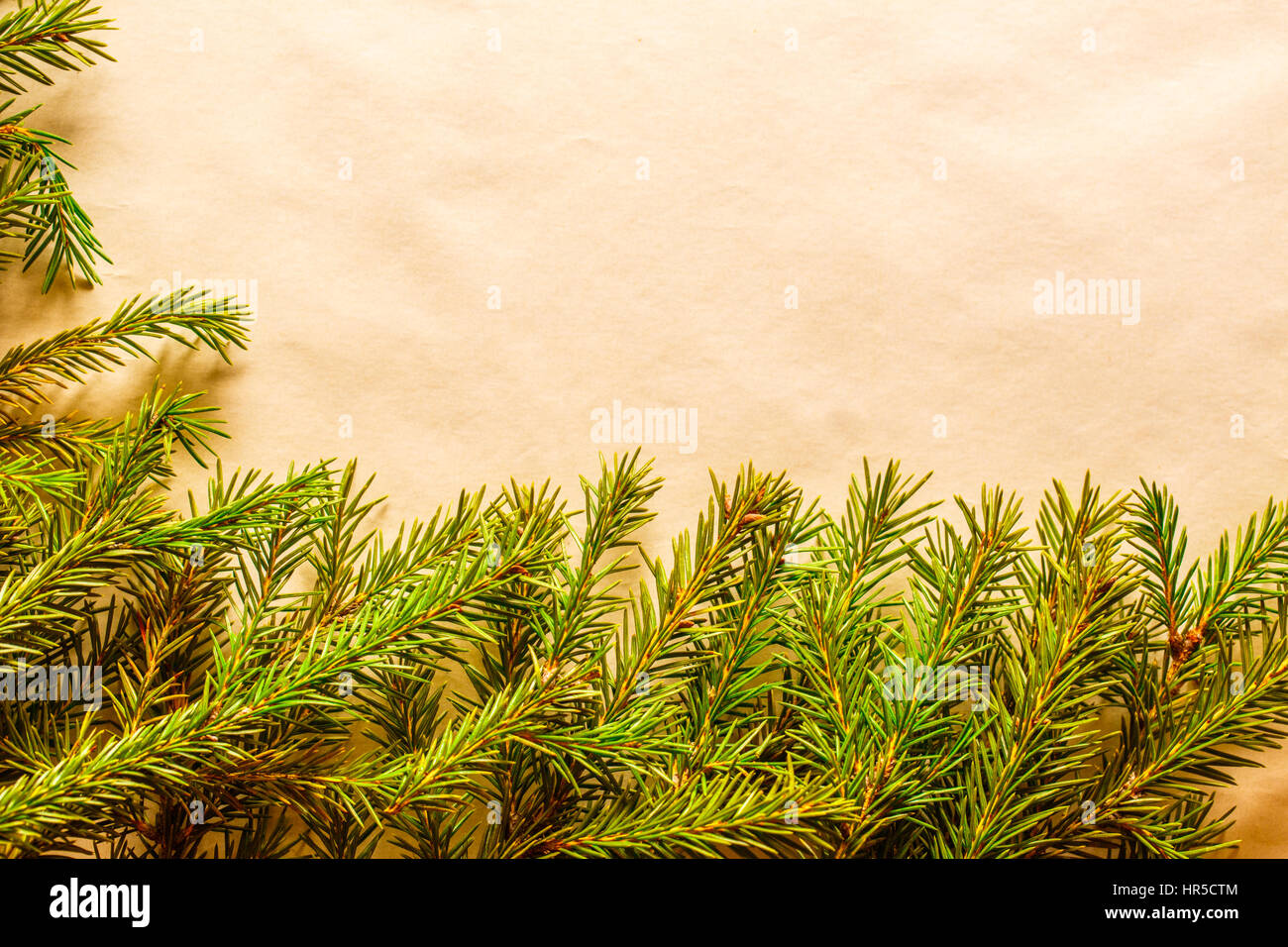 Christmas background with evergreen firtree branch blank Stock Photo ...