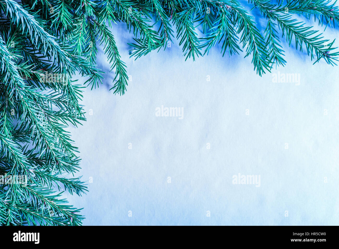 Christmas background with evergreen firtree branch blank Stock Photo ...
