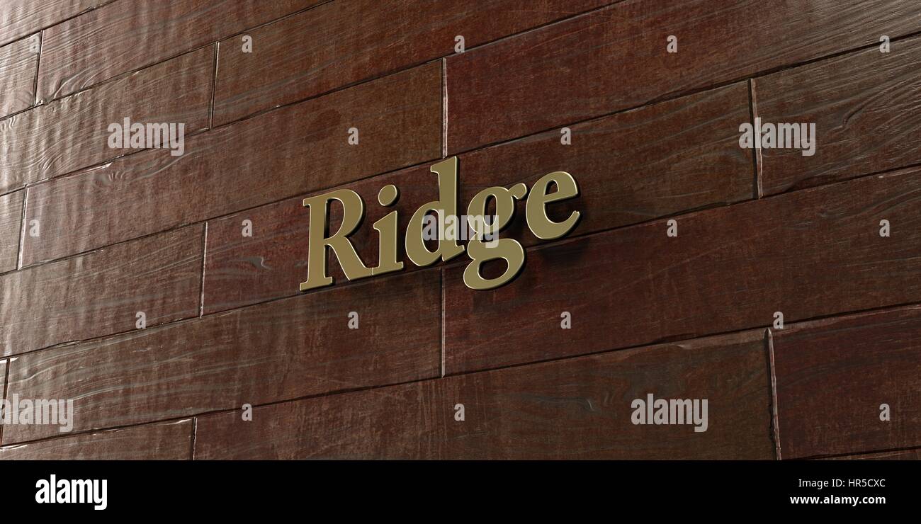 Ridge - Bronze plaque mounted on maple wood wall - 3D rendered royalty ...