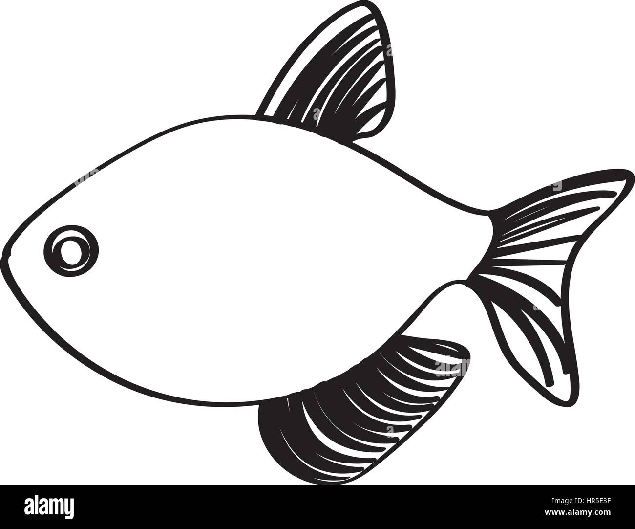 monochrome line contour with fish Stock Vector Image & Art - Alamy
