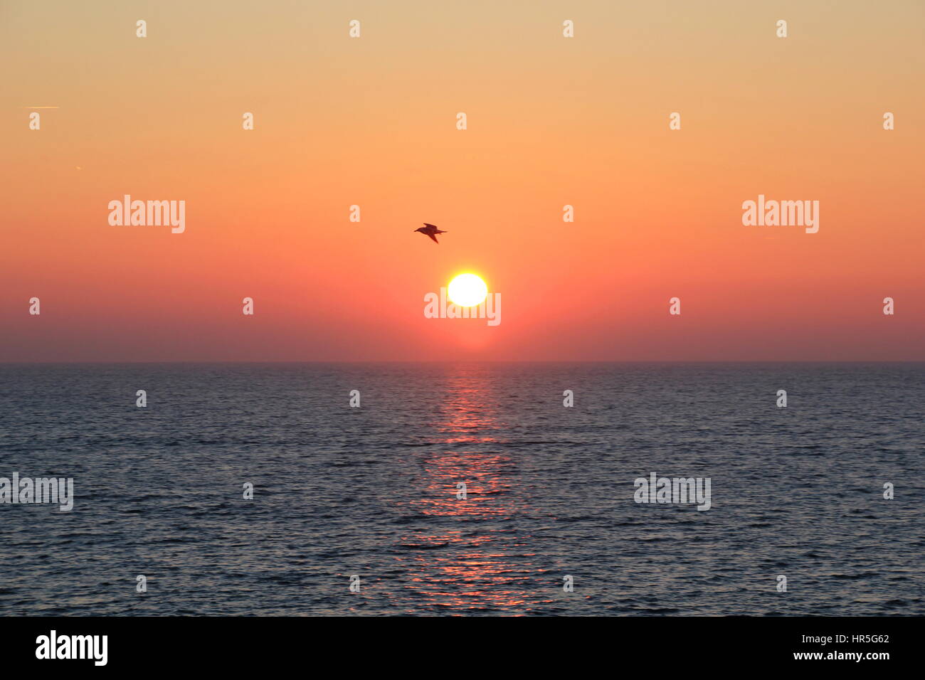 French ocean hi-res stock photography and images - Alamy