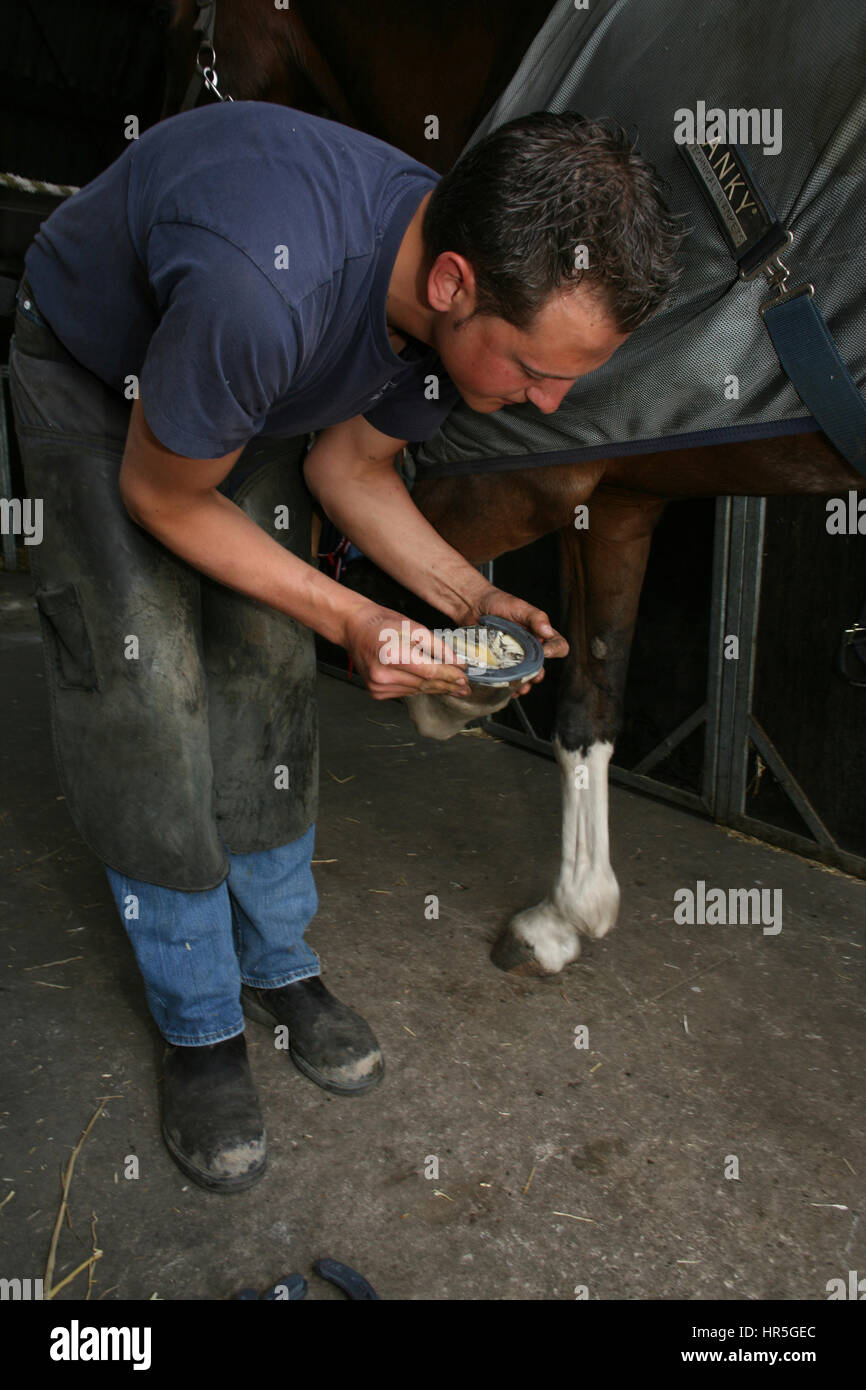 Farrier at work Stock Photo - Alamy