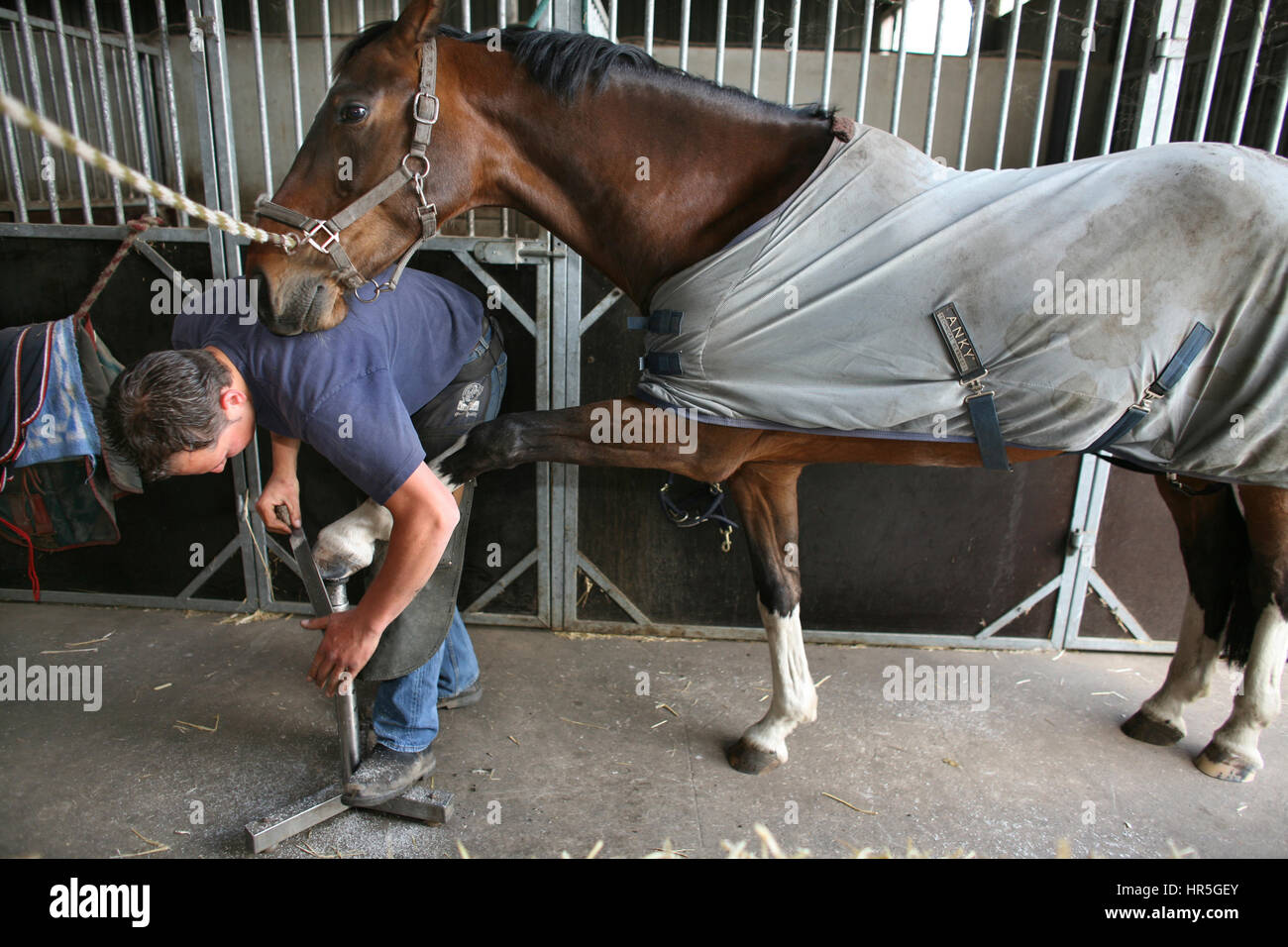 Farrier at work Stock Photo - Alamy