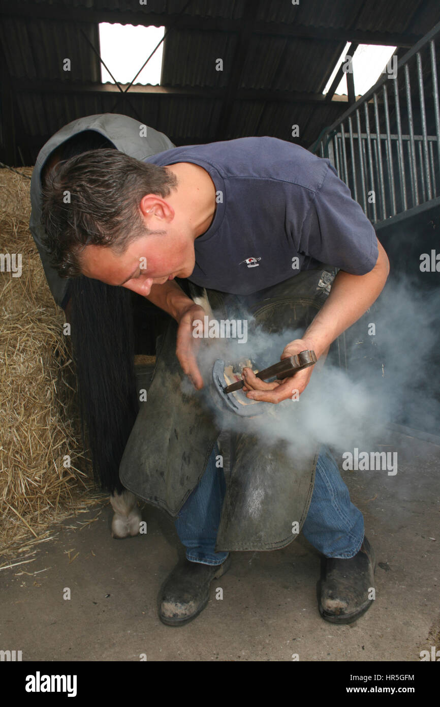 Farrier at work Stock Photo - Alamy