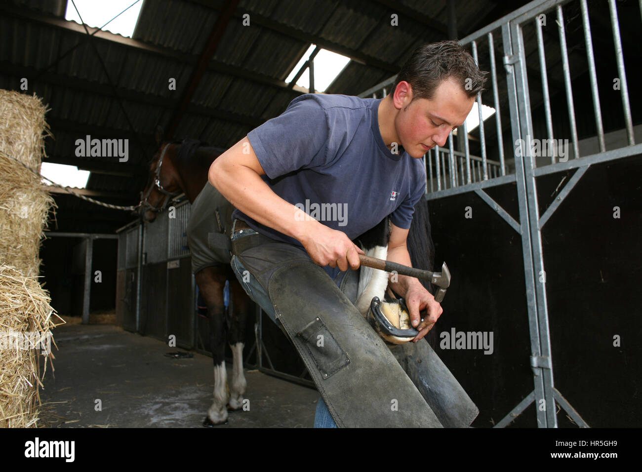 Farrier at work Stock Photo - Alamy
