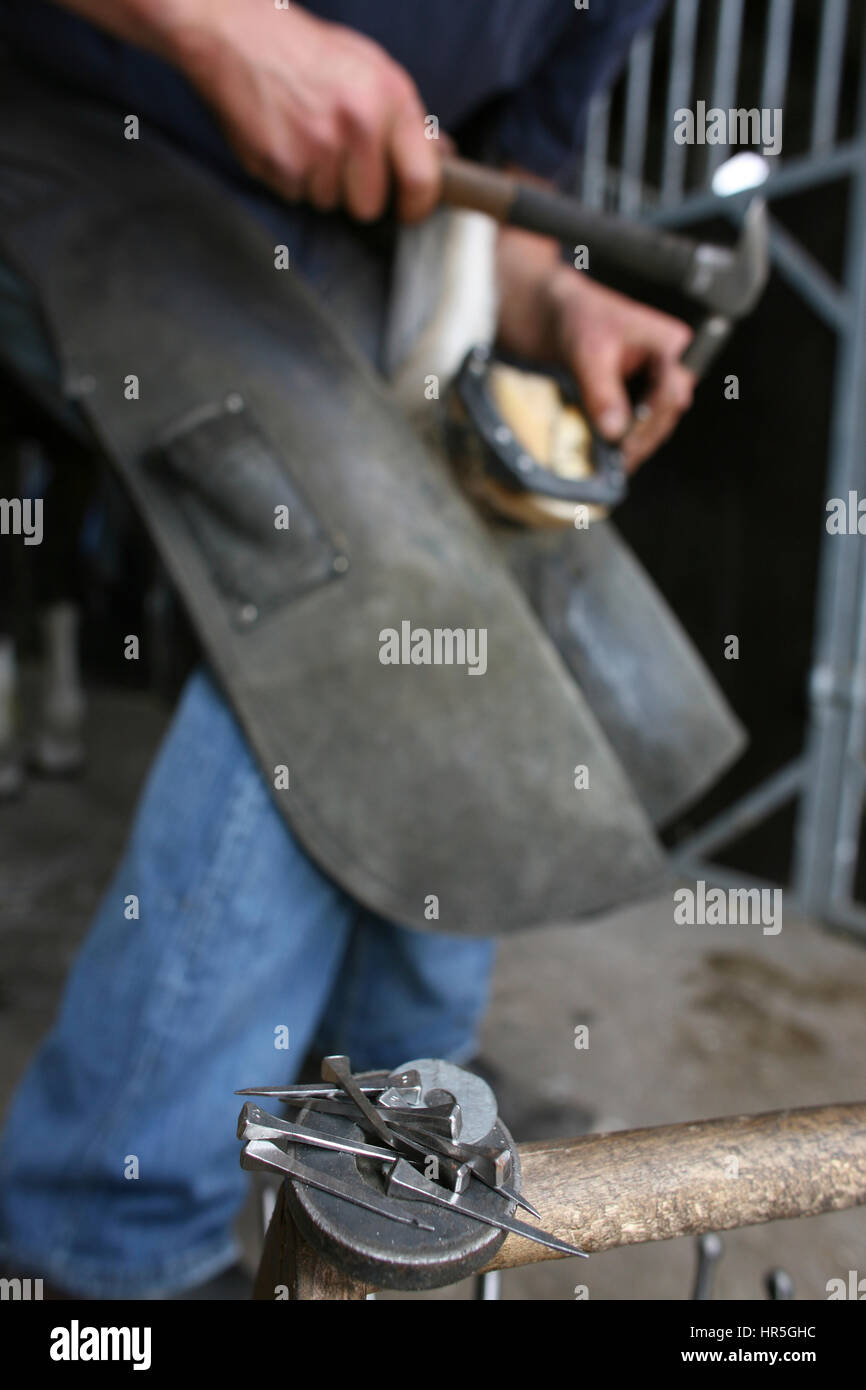 Farrier at work Stock Photo - Alamy