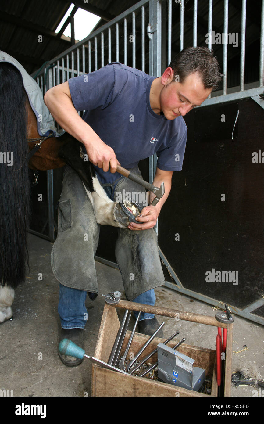 Farrier at work Stock Photo - Alamy