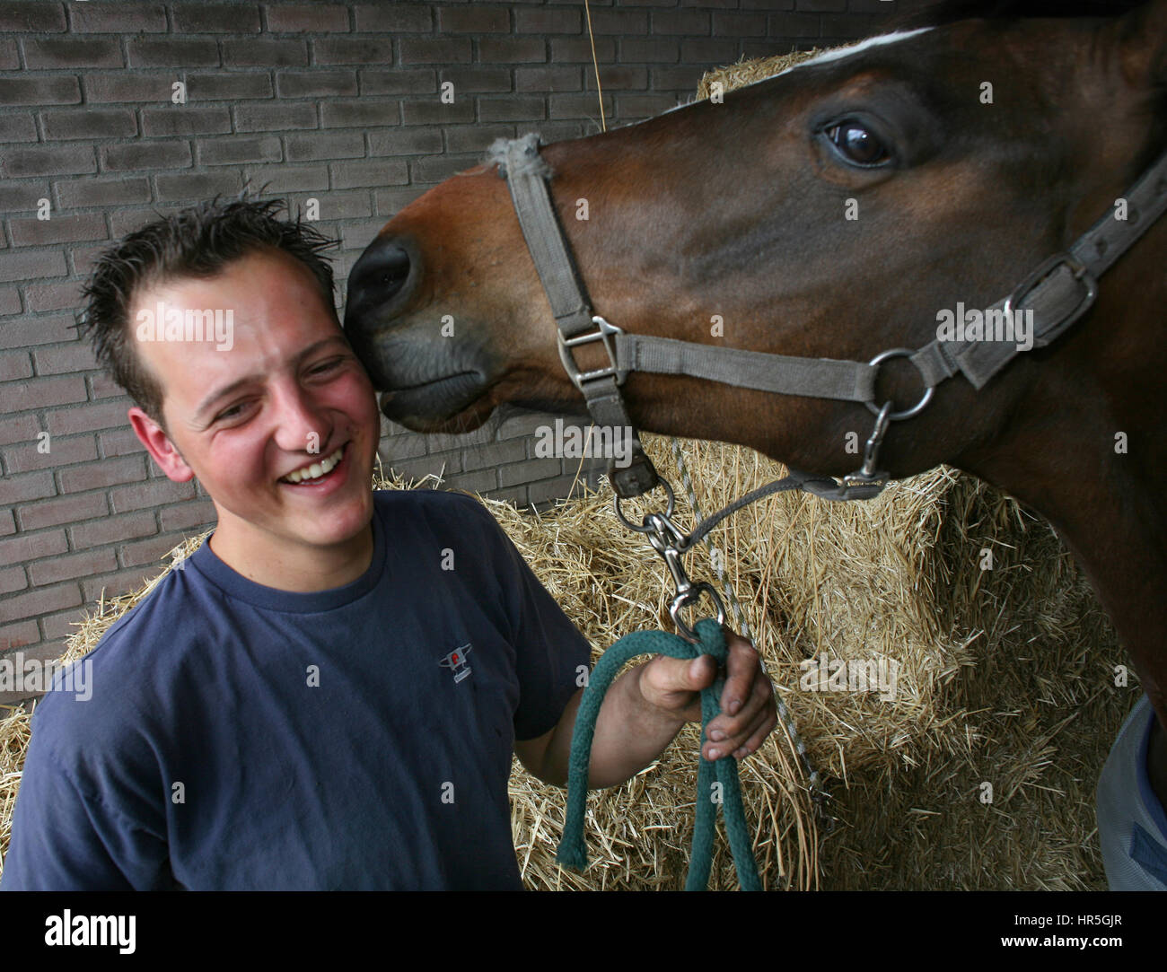 Farrier at work Stock Photo - Alamy