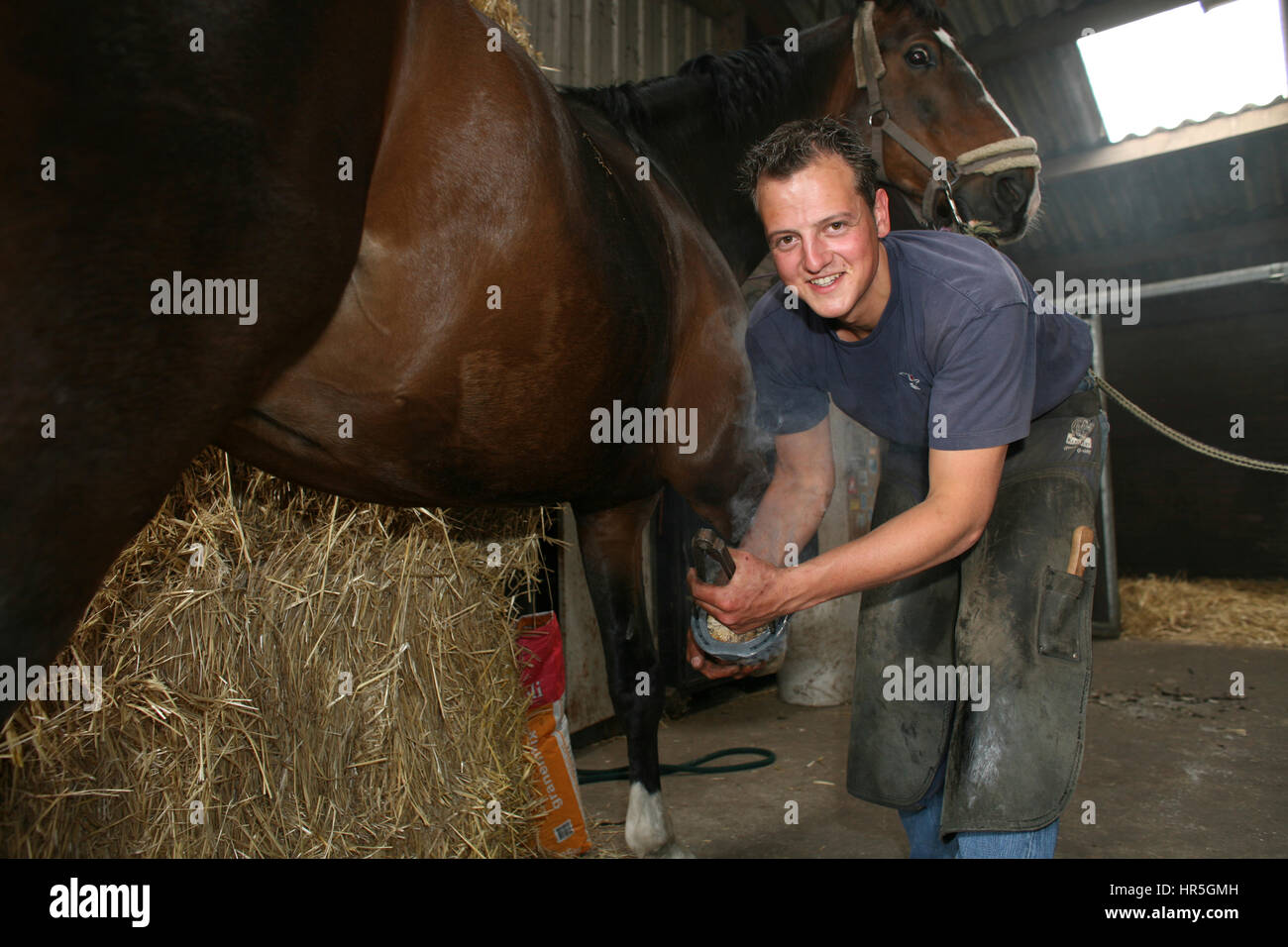 Farrier at work Stock Photo - Alamy