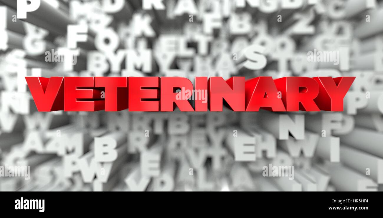 VETERINARY - Red text on typography background - 3D rendered royalty ...