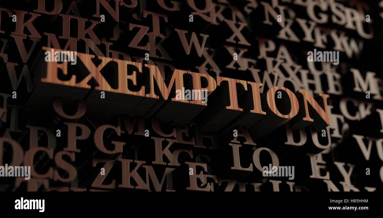 Exemption - Wooden 3D rendered letters/message. Can be used for an ...