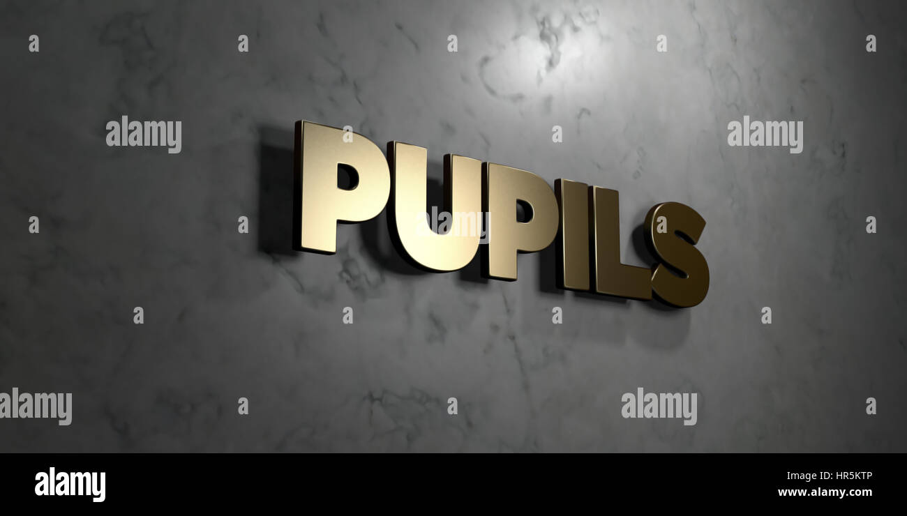 Pupils - Gold sign mounted on glossy marble wall - 3D rendered royalty ...