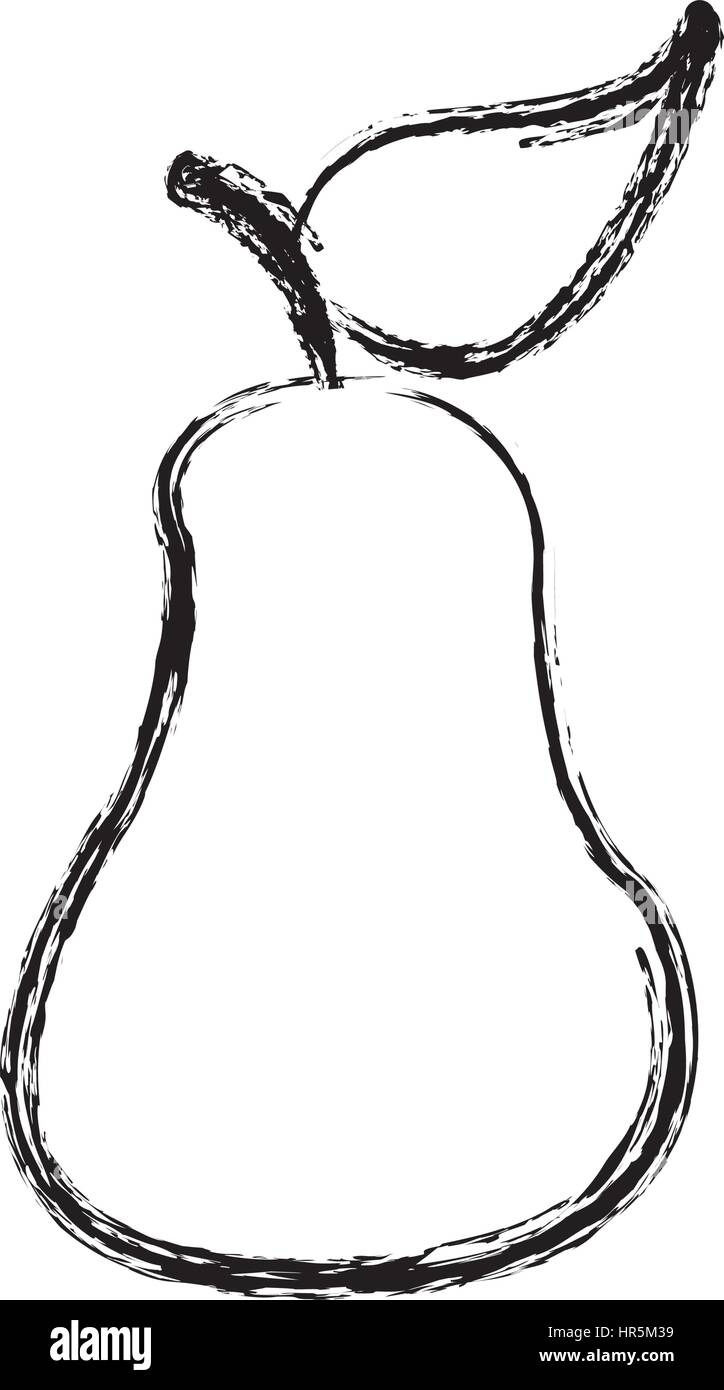 contour pear fruit icon stock Stock Vector Image & Art - Alamy