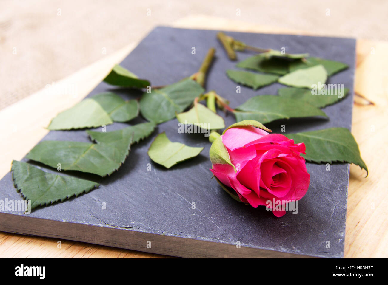 Single rose cut up on piece of slate Stock Photo - Alamy